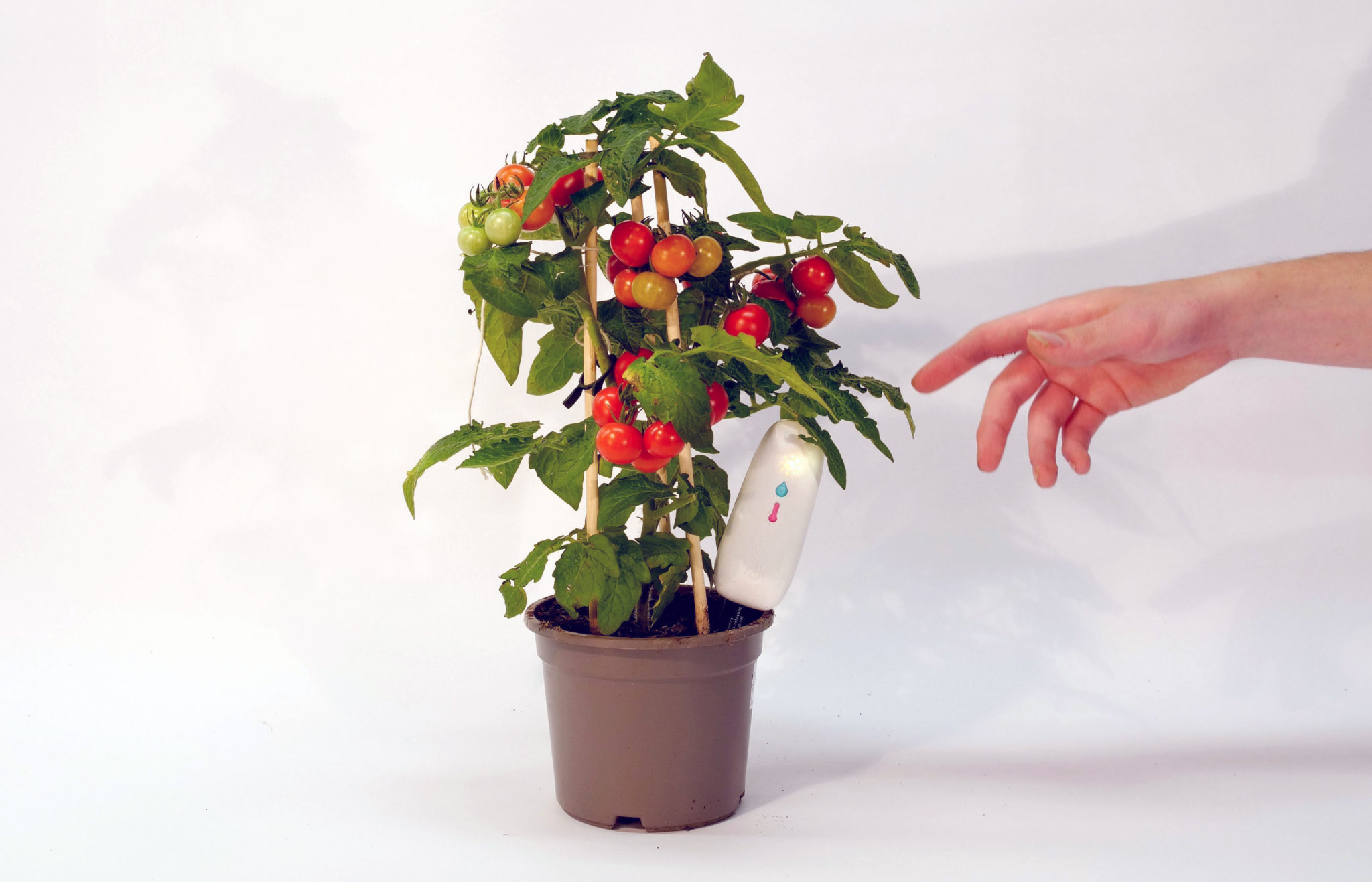 Smart Grow Kit II - Digital Society School