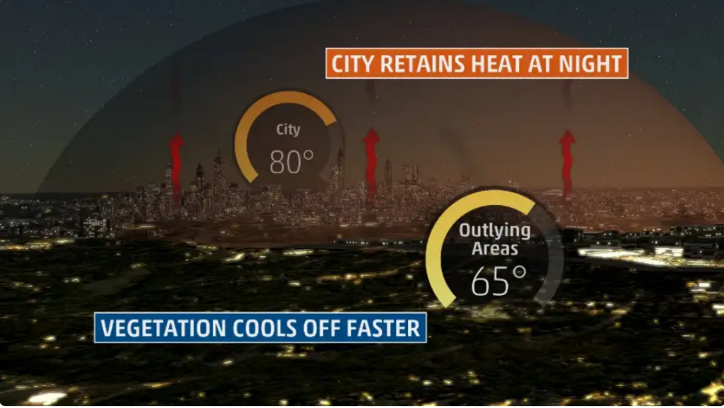 “I visited space and there is no Planet Edmunds” - Digital Society School