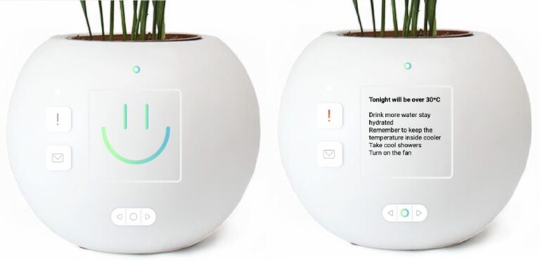 The Smart Talking Plant Pot - Digital Society School