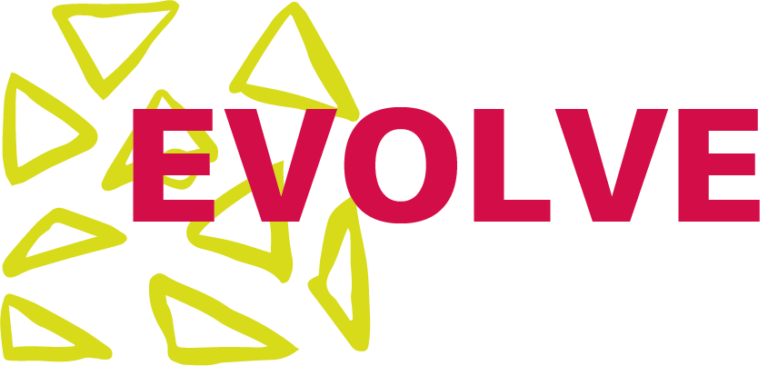 Playbook - Digital Society School