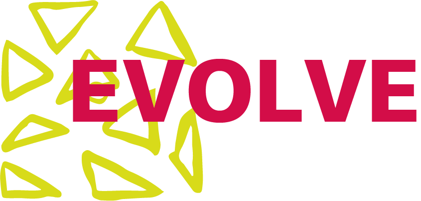 Playbook - Digital Society School